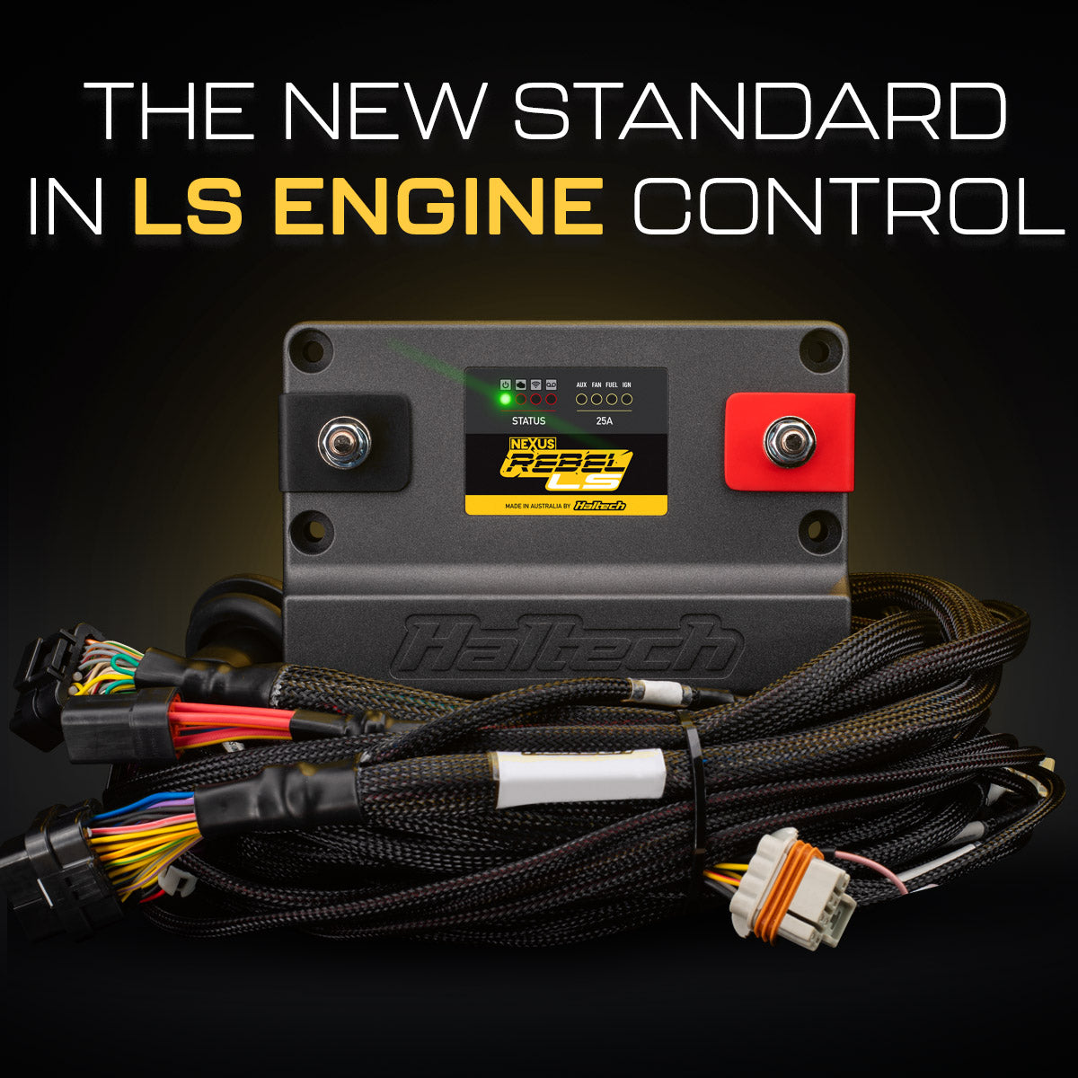 Haltech is bringing the FIRE in 2024! – Endless Performance